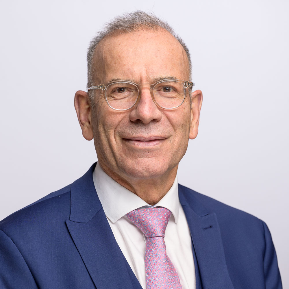 UDC Svizzera - Hannes Germann