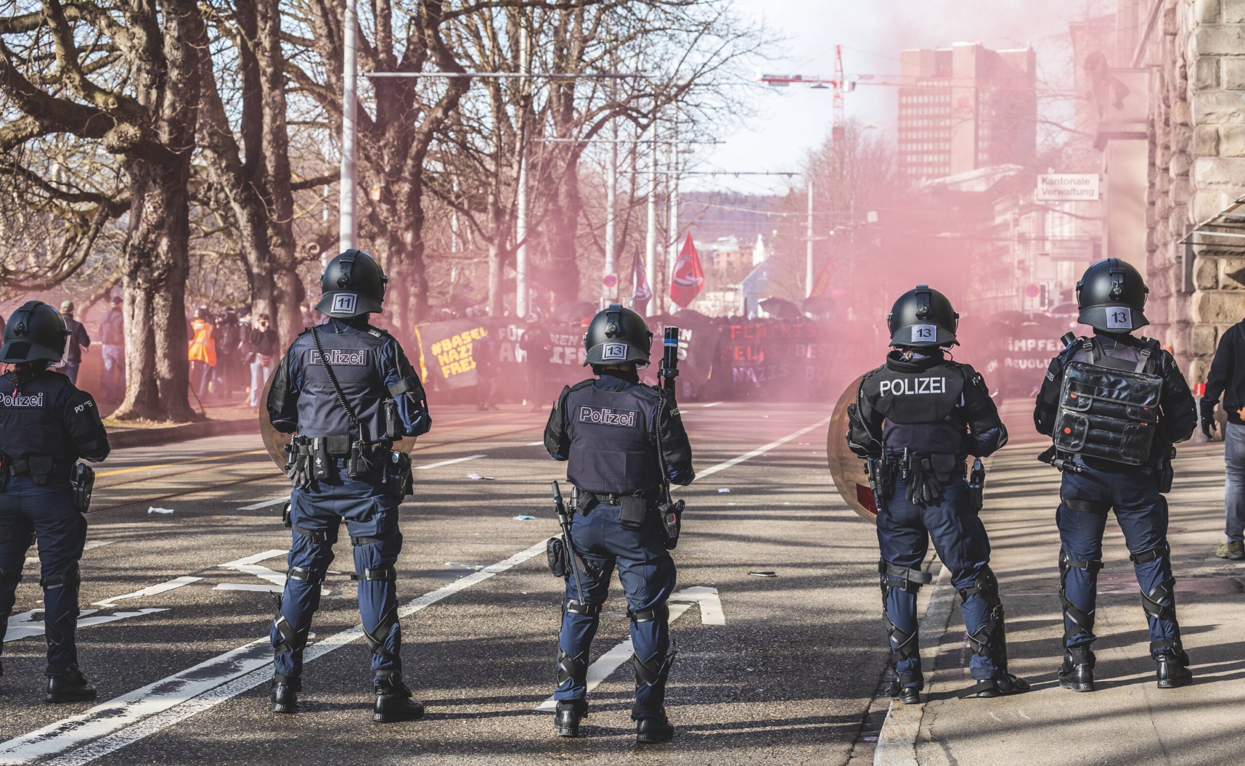 UDC Svizzera - Sicurezza, legge e ordine pubblico